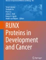 RUNX transcription factors: biological functions and implications in cancer | Clinical and ...