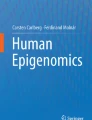 Gene Regulation and Epigenetics: How Science Works | Springer Nature Link