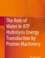 Structure and function of ABC transporters: the ATP switch provides ...