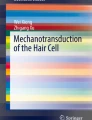 Putting the Pieces Together: the Hair Cell Transduction Complex ...