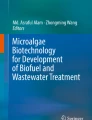Microalgae-mediated bioremediation: current trends and opportunities-a review | Archives of ...