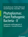 Bacterial vector-borne plant diseases: global issues caused by three ...