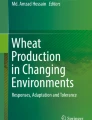 Heat stress effects and management in wheat. A review | Agronomy for ...