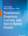 The 70-kDa peroxisomal membrane protein (PMP70) an ATP-binding cassette ...
