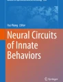 Spatial cognition and neuro-mimetic navigation: a model of hippocampal ...