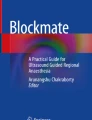 Regional Nerve Blocks in Anesthesia and Pain Therapy: Imaging-guided ...