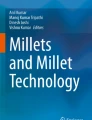 Millet-Based Food Products: An Overview | Current Food Science and ...