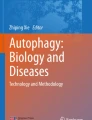 LC3 and Autophagy | SpringerLink