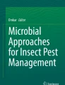 Insect‒microbe symbiosis-based strategies offer a new avenue for the ...