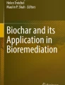 A critical review on biochar for environmental applications | Carbon ...