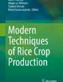 Breeding rice for yield improvement through CRISPR/Cas9 genome editing ...