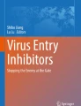 Entry Inhibitors: Efficient Means to Block Viral Infection | The ...