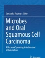 Exploring the role of oral bacteria in oral cancer: a narrative review ...