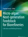 Mixotrophic and heterotrophic growth of microalgae using acetate from ...