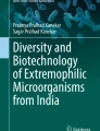 Characteristics of Radiation-Resistant Bacteria and Their ...
