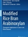 Arabinoxylan derived from corn bran by-product: structural ...
