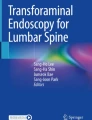 The triangles of Grynfeltt and Petit and the lumbar tunnel: an anatomo ...