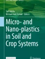A global perspective on soil microplastic research: status, challenges ...