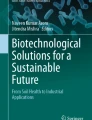 Innovative Solutions for Micropollutant Removal in Wastewater: A Review ...