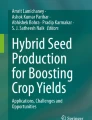 Advances in two-line hybrid rice breeding: leveraging thermosensitive ...