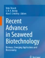 Seaweed-Based Biodegradable Packaging: A Green Alternative for a ...