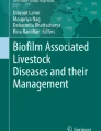Proteomic Insights into Antimicrobial Resistance Mechanisms in Human ...