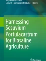The Stenohaline Seagrass Posidonia oceanica Can Persist in Natural ...