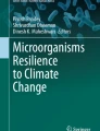 Soil Microbes and Climate Change Mitigation | SpringerLink