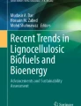 Environmental sustainability analysis of biofuels: a critical review of ...