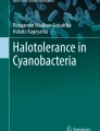 Salty secrets of Halobacterium salinarum AD88: a new archaeal ecotype ...