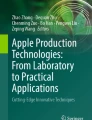 Sustainable Fruit Production: Enhancing Technical Efficiency and ...