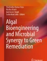 Co-culture of microalgae and bacteria for the production of bioactive ...