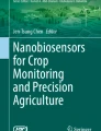 Nano-inspired biosensors and their potential applications in plant ...