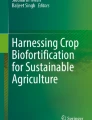 Genetic biofortification: advancing crop nutrition to tackle hidden ...