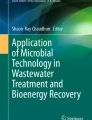 Microalgae and Cyanobacteria for Resource Conservation, Recycling, and Preservation | SpringerLink