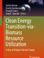 Fueling the future: biomass applications for green and sustainable ...