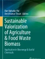 Conversion of food waste into energy and value-added products: a review ...