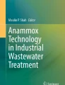 The Anammoxosome Organelle: The Power Plant of Anaerobic Ammonium ...