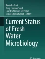 Freshwater Microplastics: Emerging Environmental Contaminants? | SpringerLink