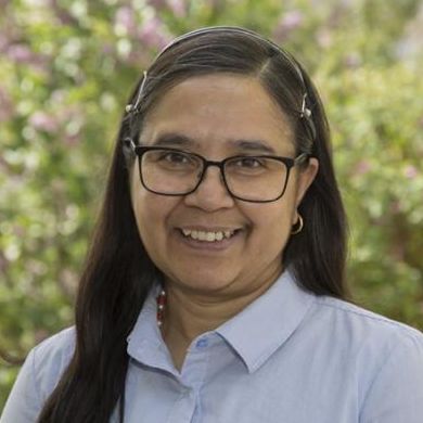 Solar and Stellar Dynamos: A New Era | SpringerLink