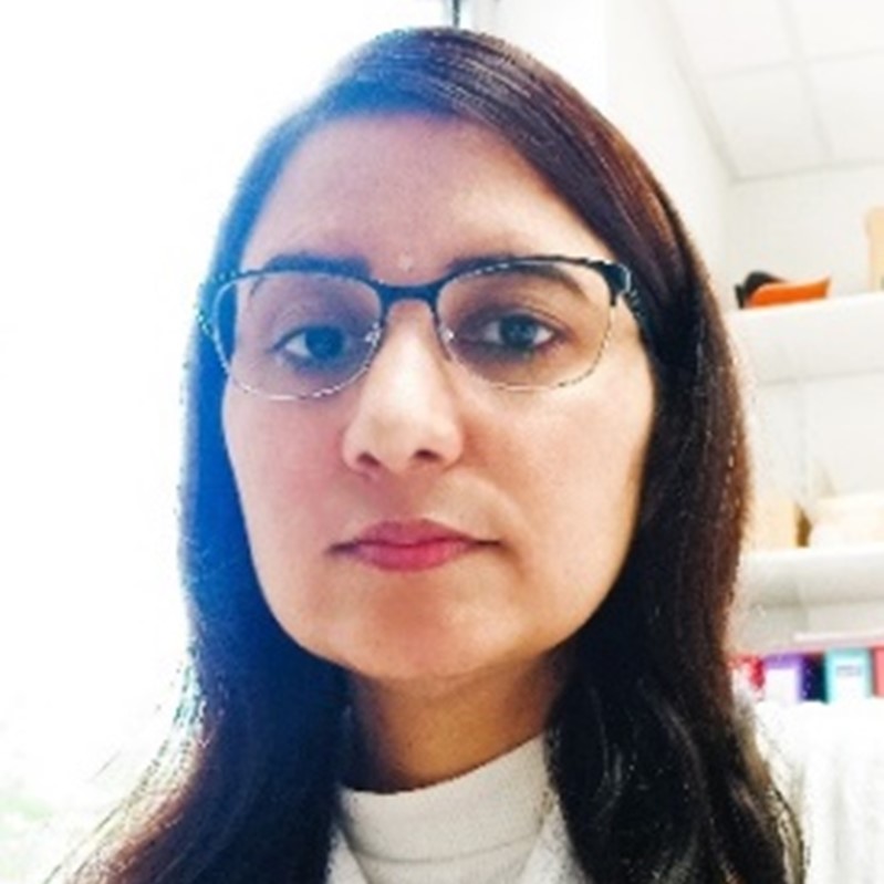 Recent Advances in Essential Oils-Based Food Applications | SpringerLink