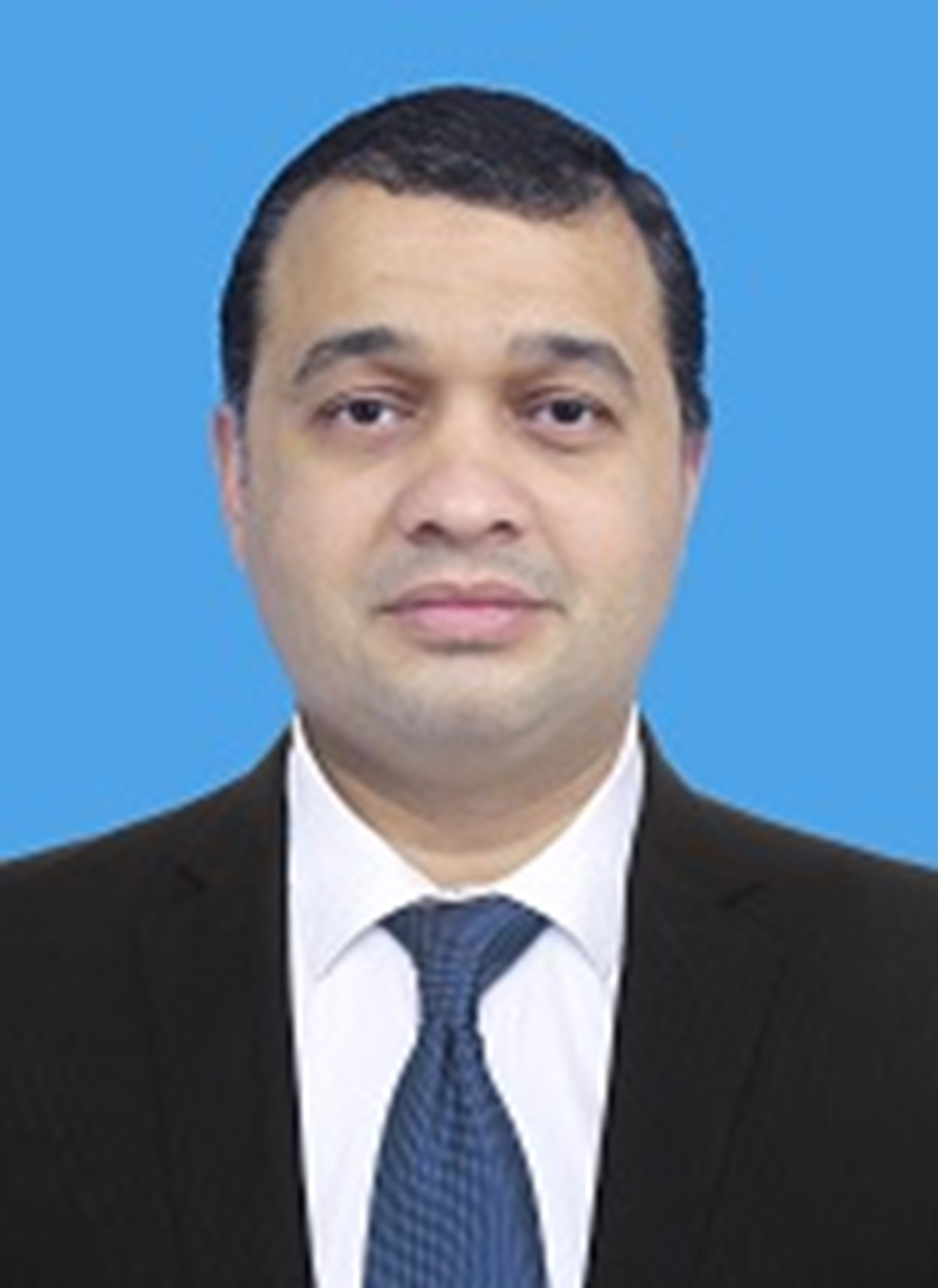 Impact of Renewable Energy on Economic Development | SpringerLink