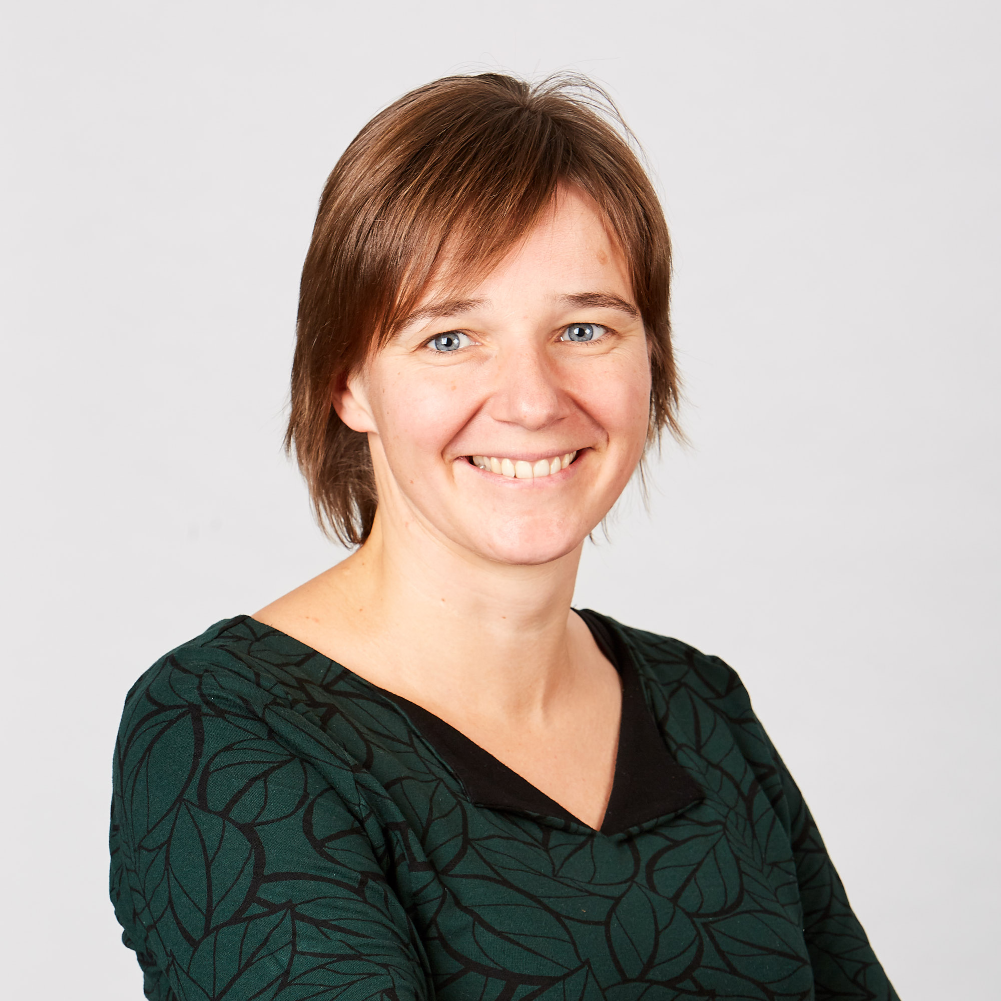 Translational research with nanomaterials, nanobodies, and protein ...